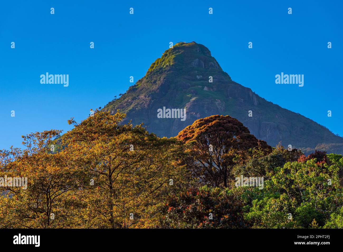 Sri padaya hi-res stock photography and images - Alamy