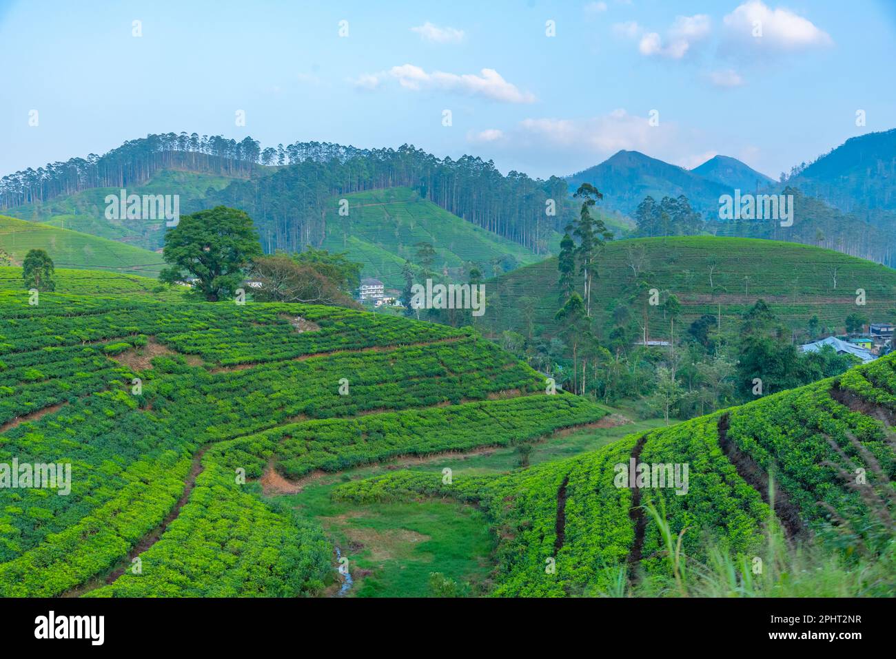 Hilly landscape of Sri Lanka dotted with villages and tea plantations ...