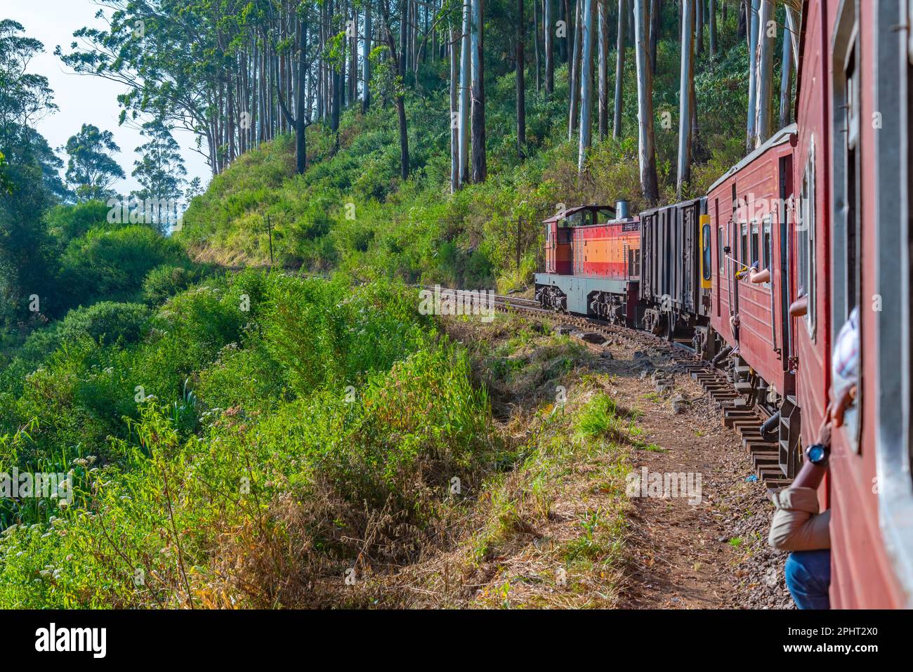 Train winding on a hillside track among tea plantations at Sri Lanka ...
