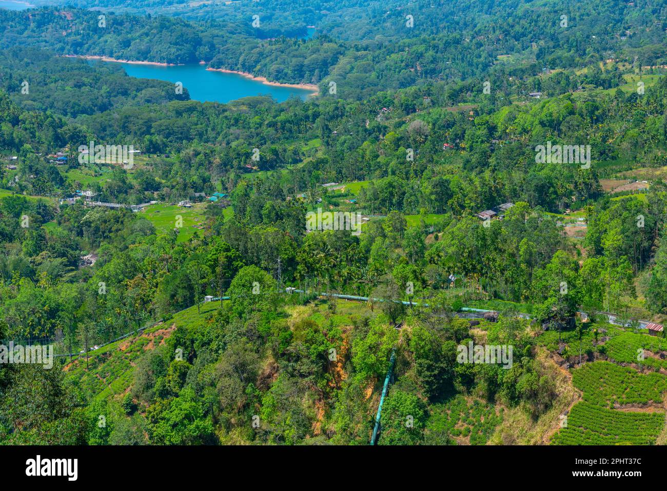 Aerial view of tea plantations near Ramboda falls at Sri Lanka Stock ...