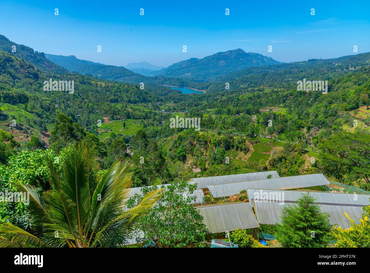 Aerial view of tea plantations near Ramboda falls at Sri Lanka Stock ...