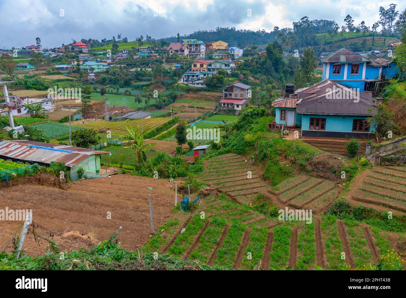 Hilly landscape of Sri Lanka dotted with villages and tea plantations ...