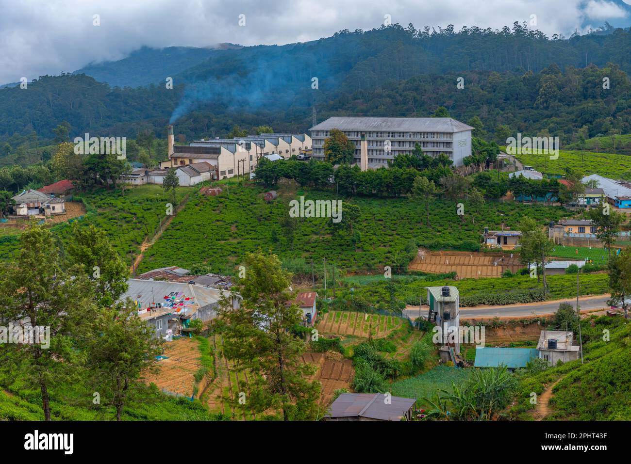 Pedro tea estate at Nuwara Eliya, Sri Lanka Stock Photo - Alamy