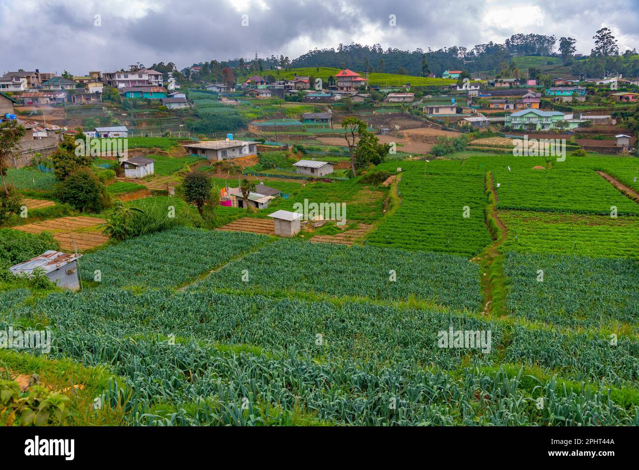 Hilly landscape of Sri Lanka dotted with villages and tea plantations ...