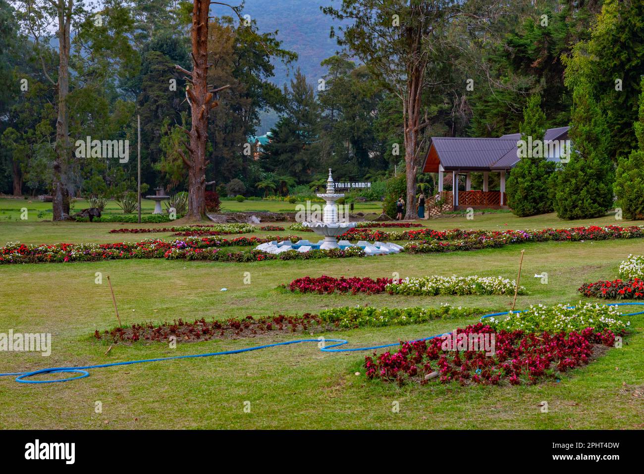 Victoria Park at Nuwara Eliya, Sri Lanka Stock Photo - Alamy