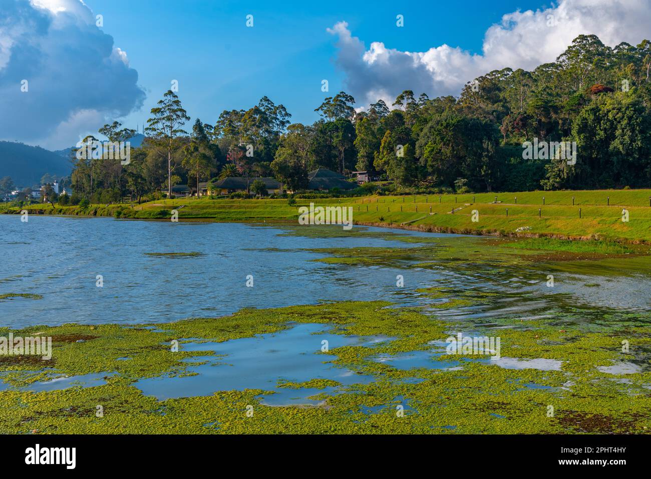Lake Gregory at Nuwara Eliya, Sri Lanka Stock Photo - Alamy