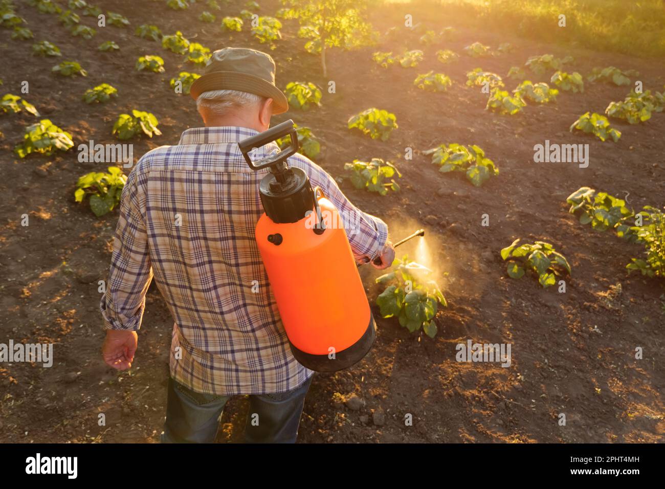 Backpack sprayer gardener working farmer spraying insecticide. Old ...