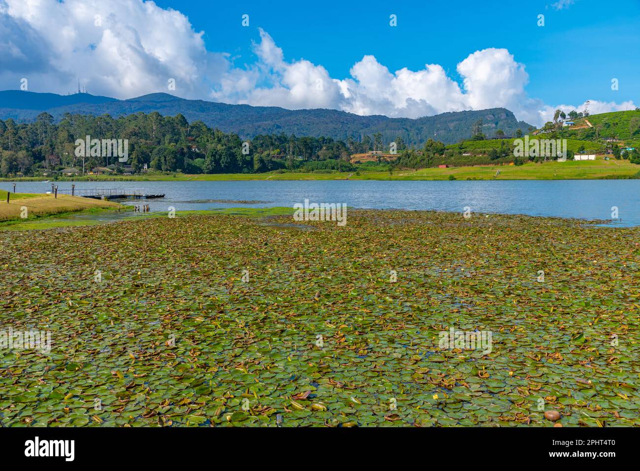 Lake Gregory at Nuwara Eliya, Sri Lanka Stock Photo - Alamy
