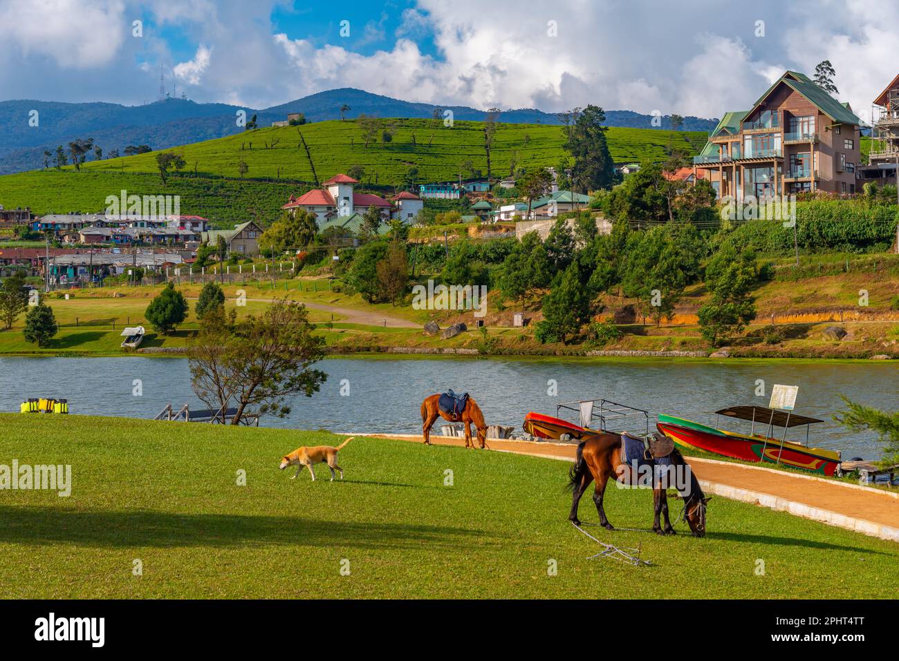 Lake Gregory at Nuwara Eliya, Sri Lanka Stock Photo - Alamy
