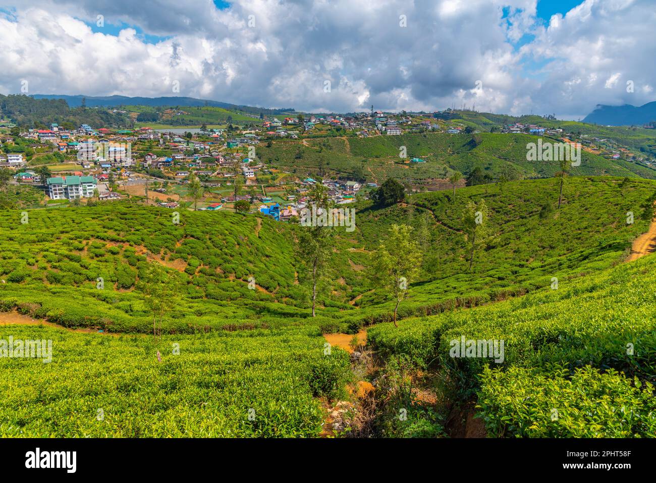Panorama view of Nuwara Eliya at Sri Lanka Stock Photo - Alamy