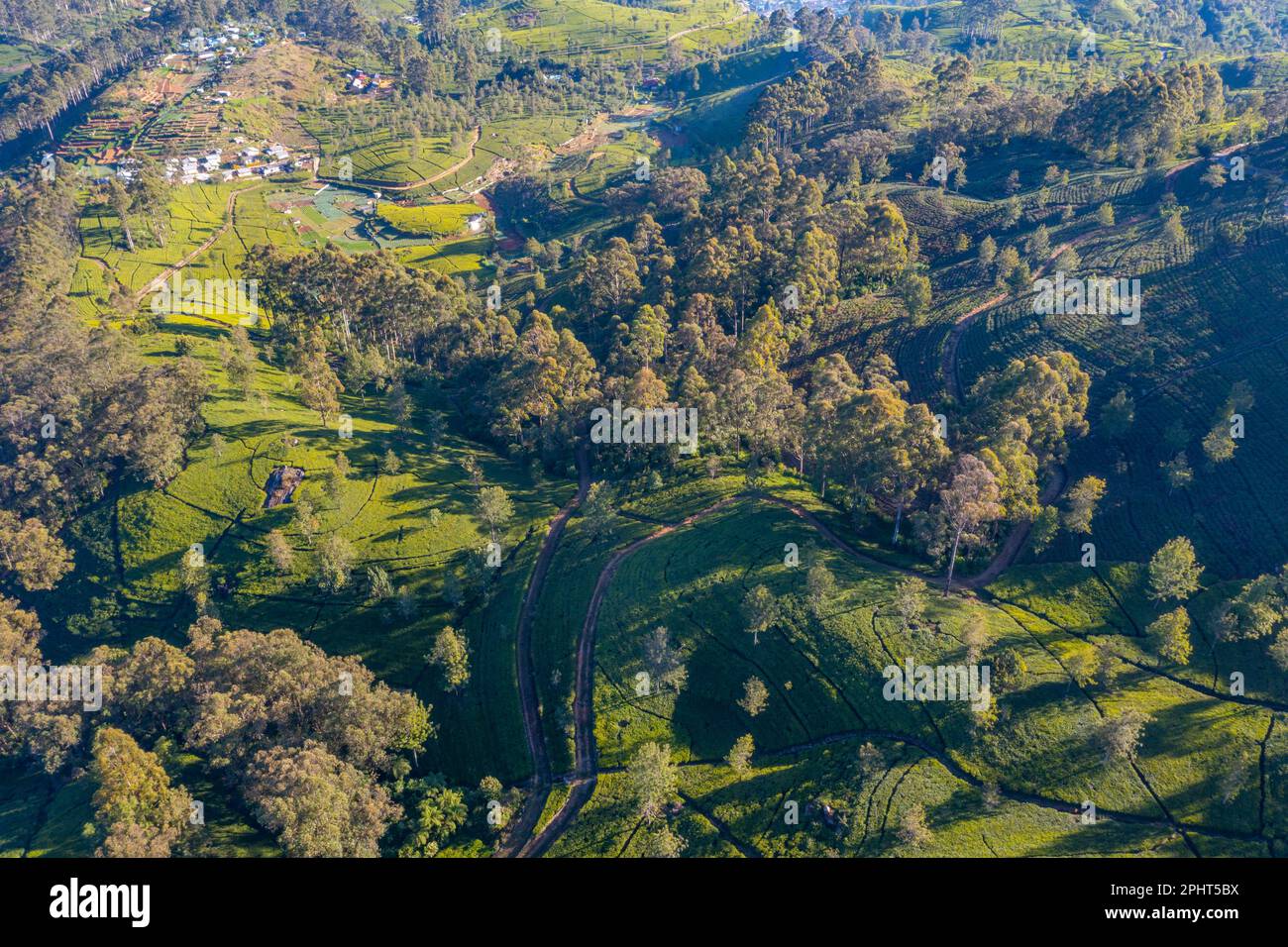 Aerial view of Lipton's seat viewpoint and adjacent tea plantations at ...