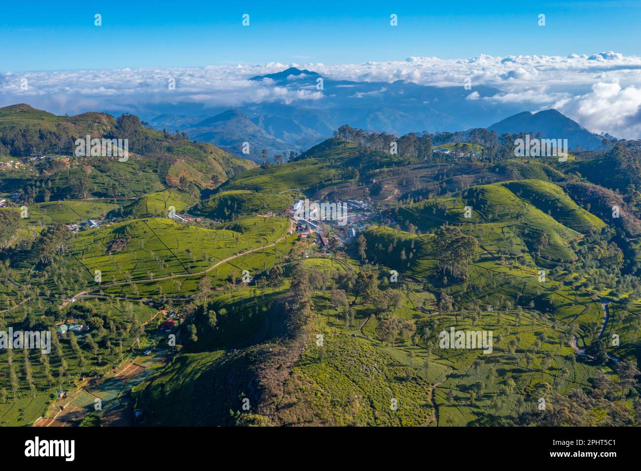 Aerial view of Lipton's seat viewpoint and adjacent tea plantations at ...