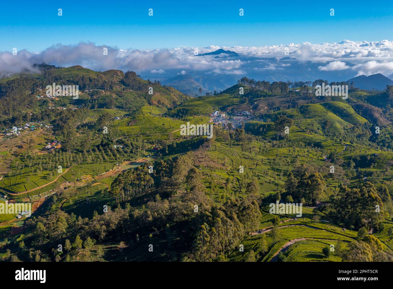 Aerial view of Lipton's seat viewpoint and adjacent tea plantations at ...