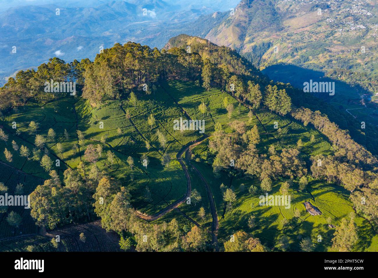 Aerial view of Lipton's seat viewpoint and adjacent tea plantations at ...