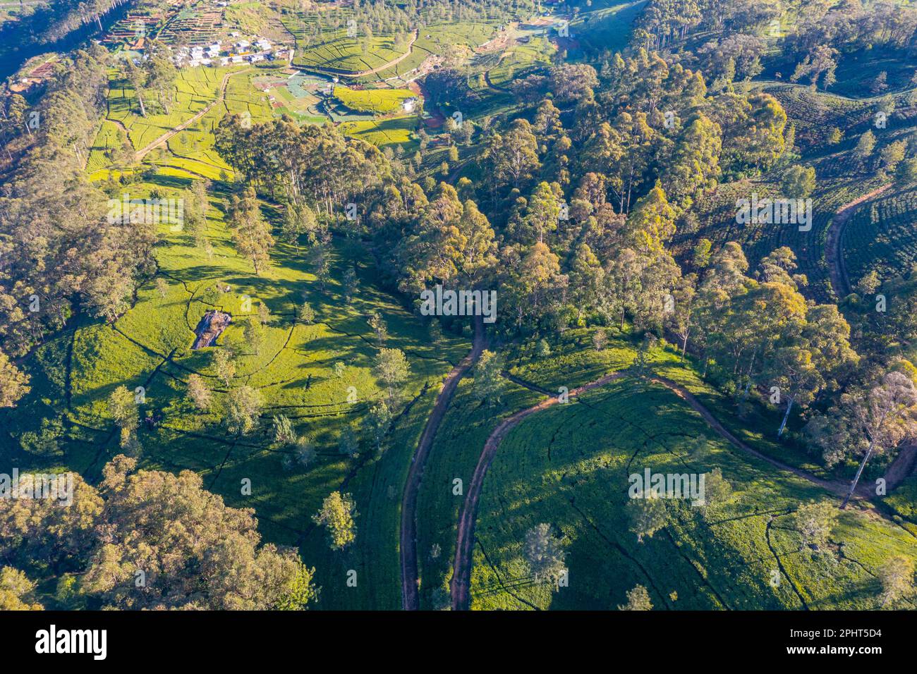Aerial view of Lipton's seat viewpoint and adjacent tea plantations at ...