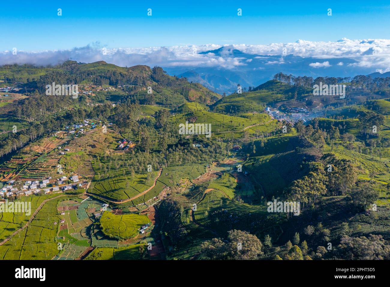 Aerial view of Lipton's seat viewpoint and adjacent tea plantations at ...