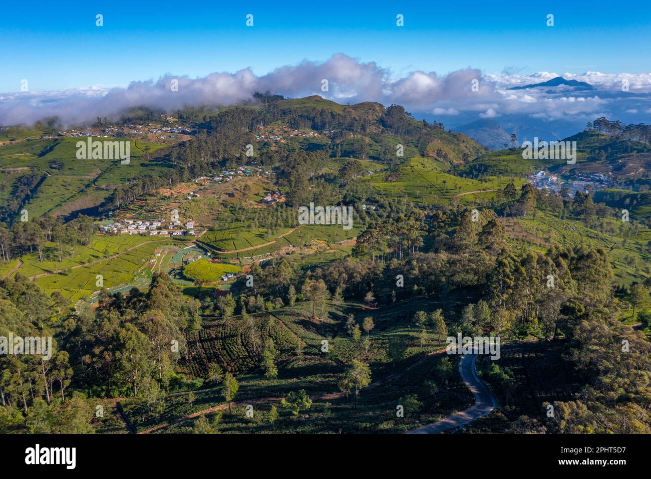 Aerial view of Lipton's seat viewpoint and adjacent tea plantations at ...