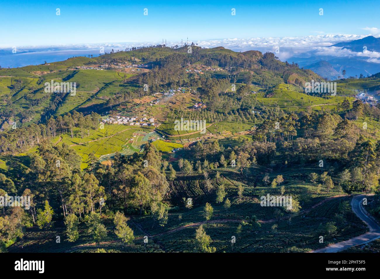 Aerial view of Lipton's seat viewpoint and adjacent tea plantations at ...