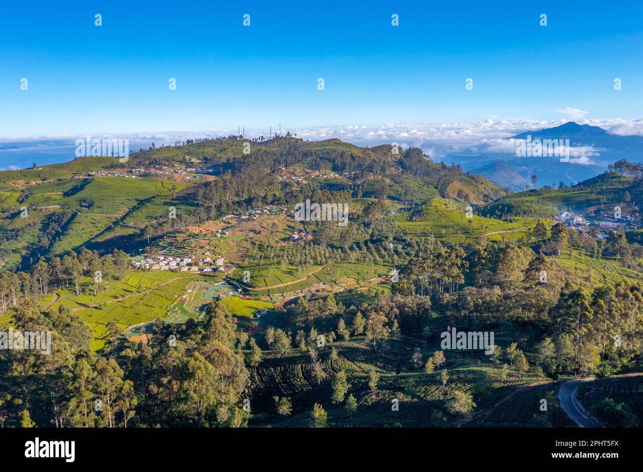Aerial view of Lipton's seat viewpoint and adjacent tea plantations at ...