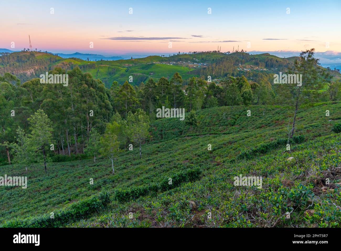 Tea plantations around Lipton's Seat near Haputale, Sri Lanka Stock ...