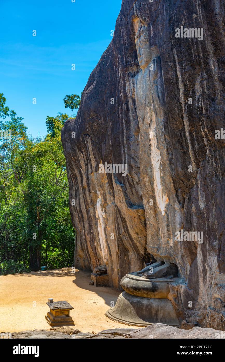 Buddha statues carved into stone at buduruwagala ancient site at Sri ...