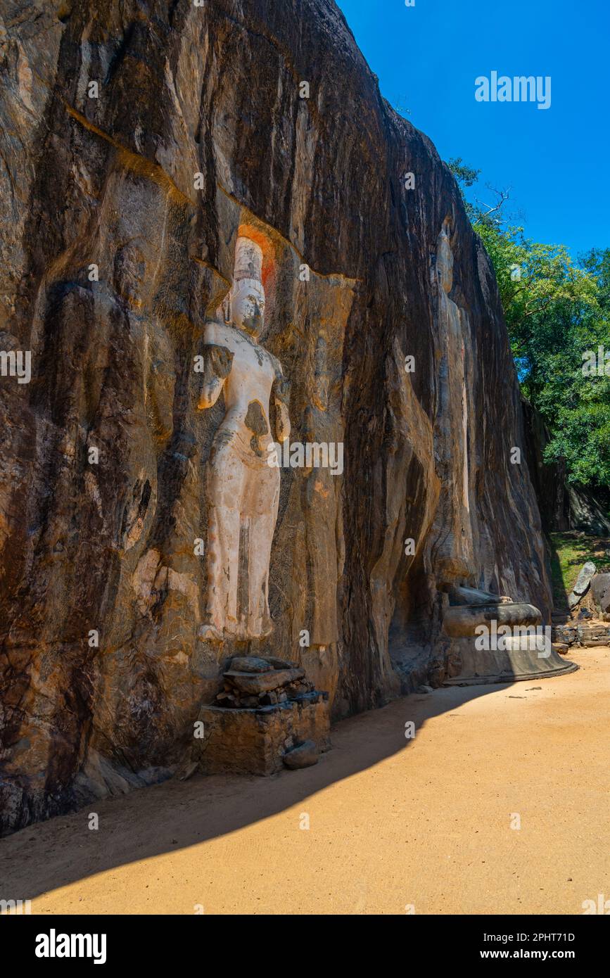 Buddha statues carved into stone at buduruwagala ancient site at Sri ...