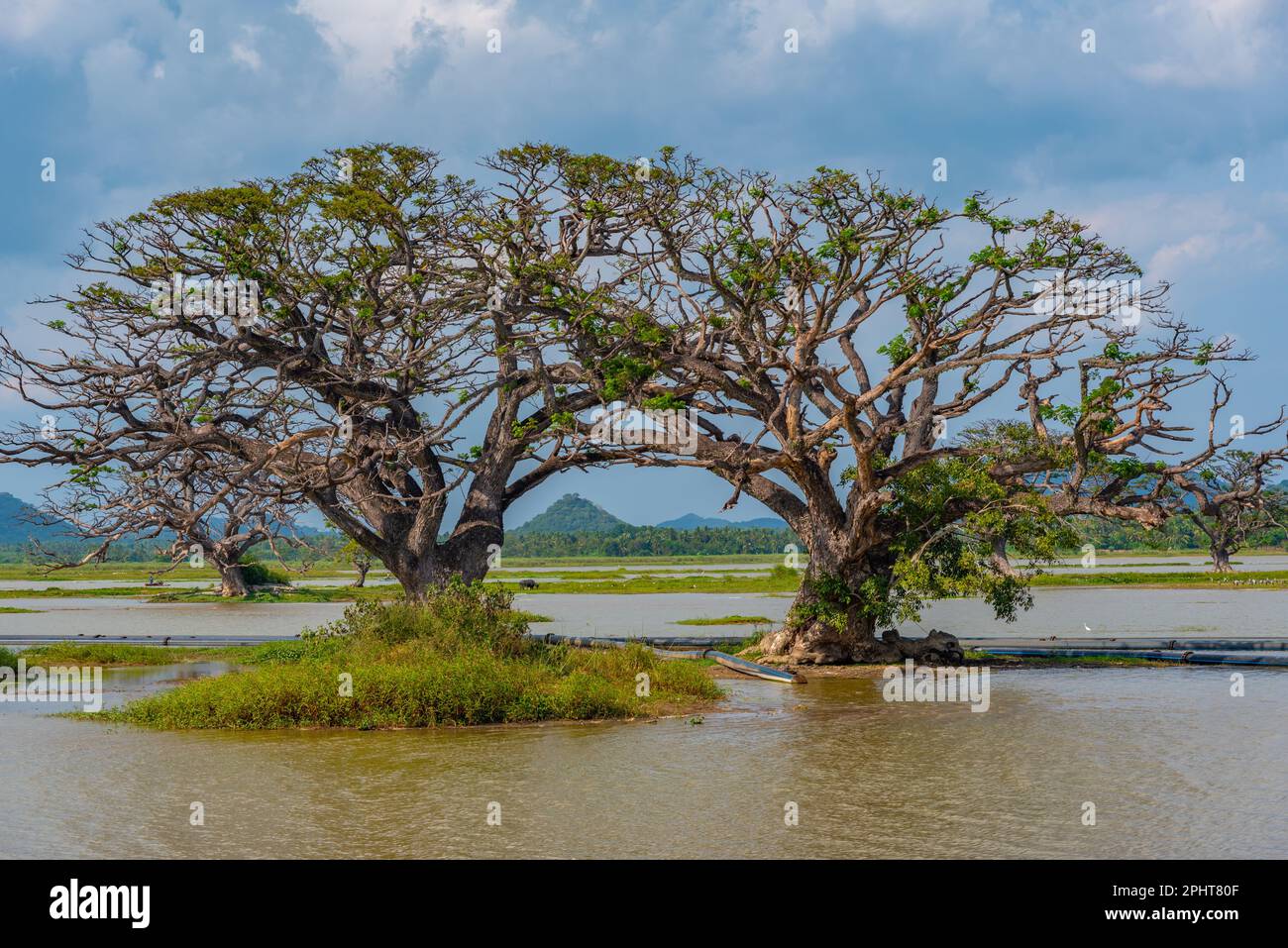 Tissa valley hi-res stock photography and images - Alamy