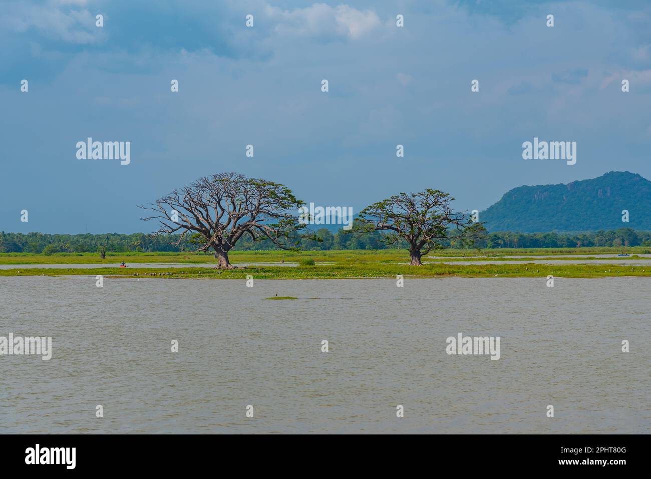 Tissa Weva lake at Sri Lanka Stock Photo - Alamy