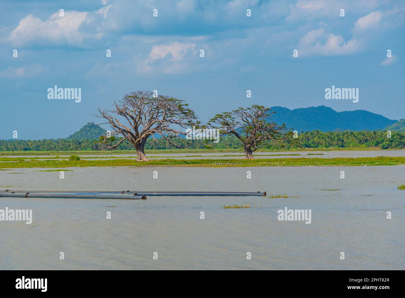 Tissa Weva lake at Sri Lanka Stock Photo - Alamy