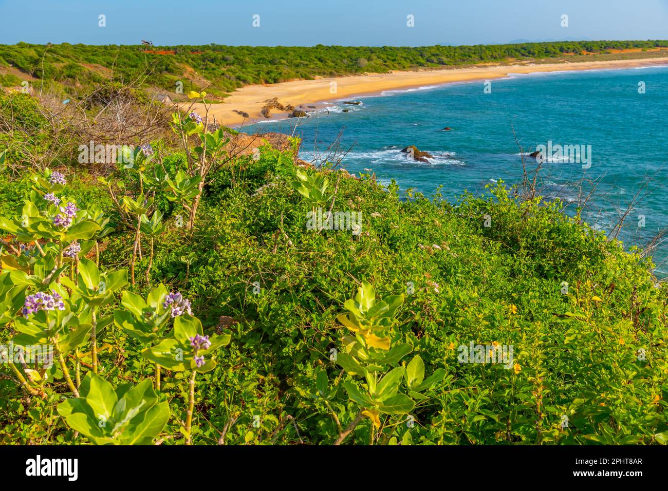 Beach at Bundala national park at Sri Lanka Stock Photo - Alamy