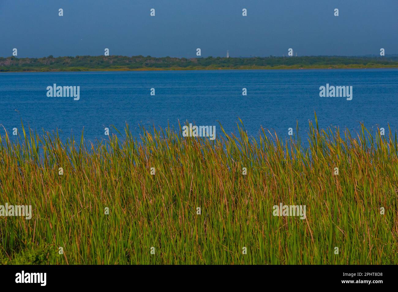 Marshes at Bundala national park in Sri Lanka Stock Photo - Alamy