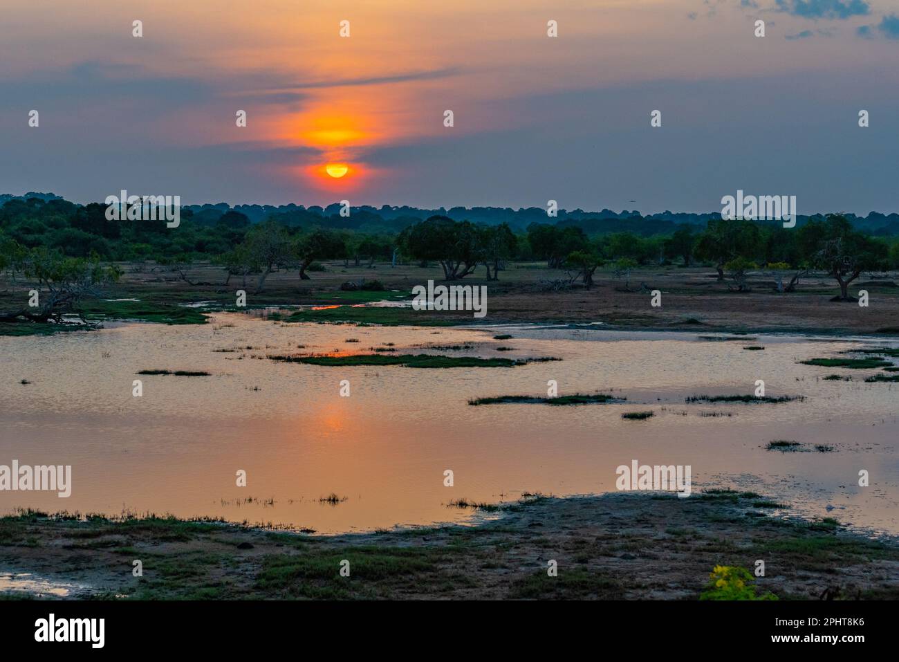 Marshes at Bundala national park in Sri Lanka Stock Photo - Alamy