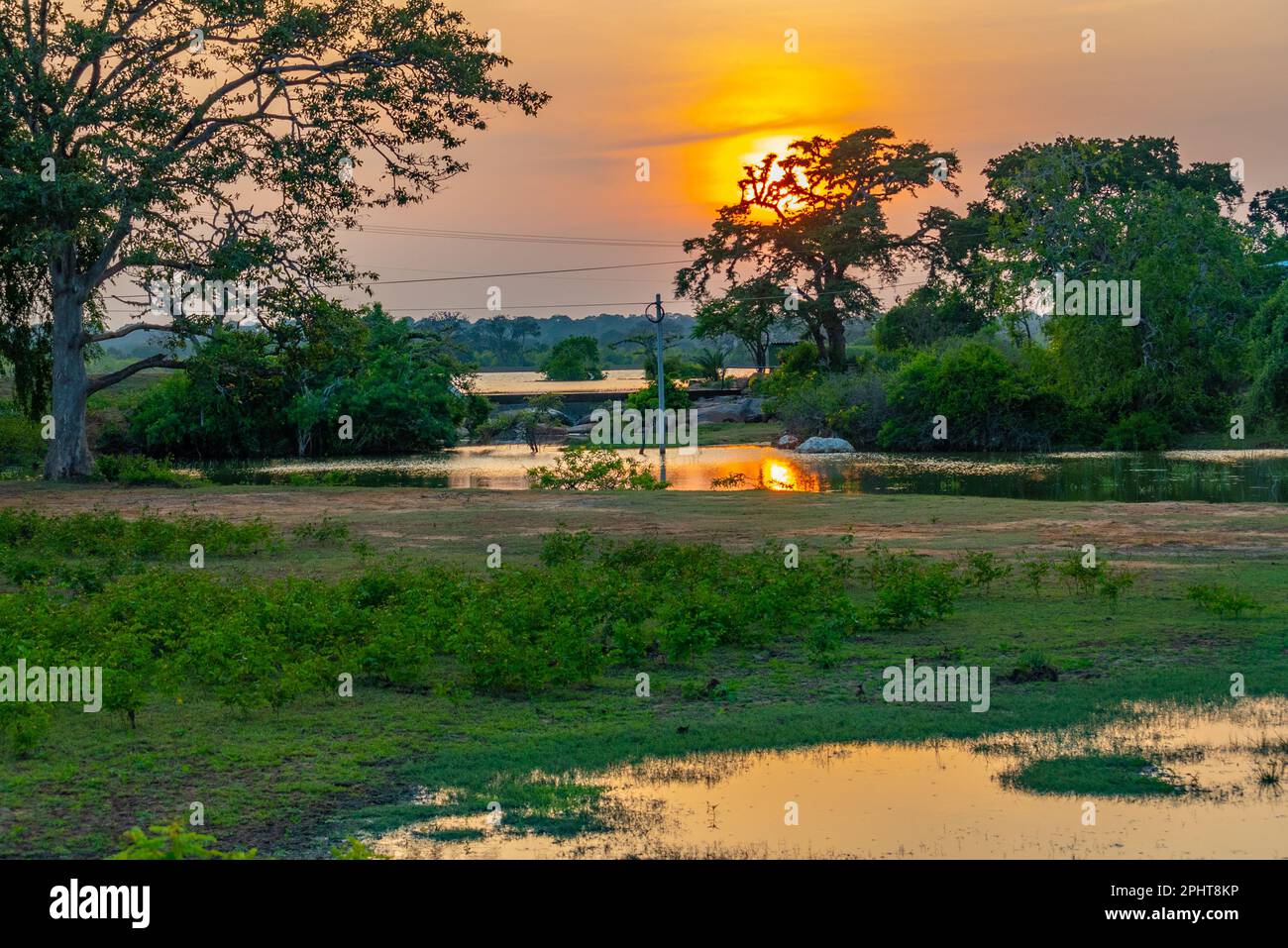 Marshes at Bundala national park in Sri Lanka Stock Photo - Alamy