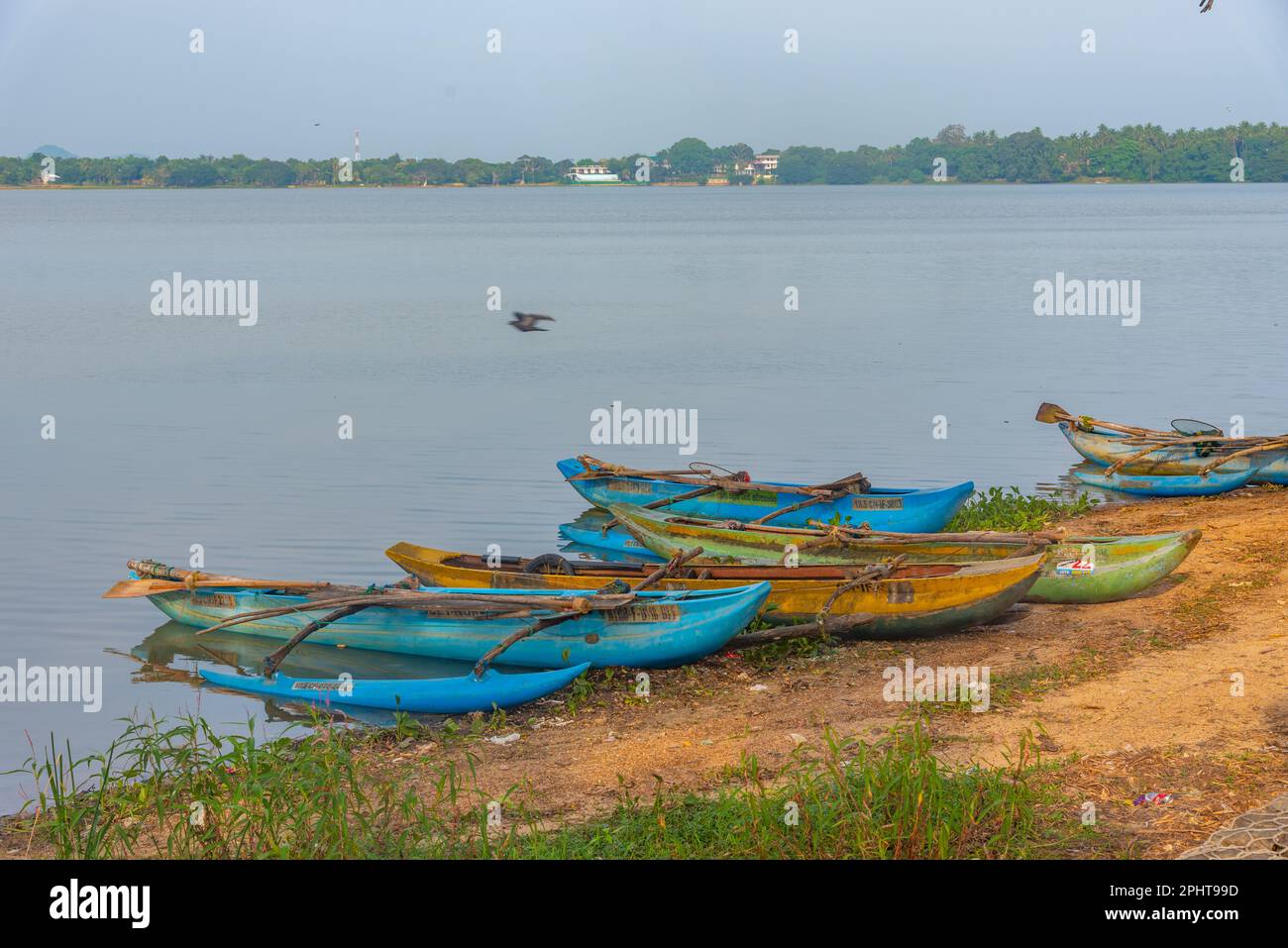 Fishing boats at Tissa Weva lake at Sri Lanka Stock Photo - Alamy