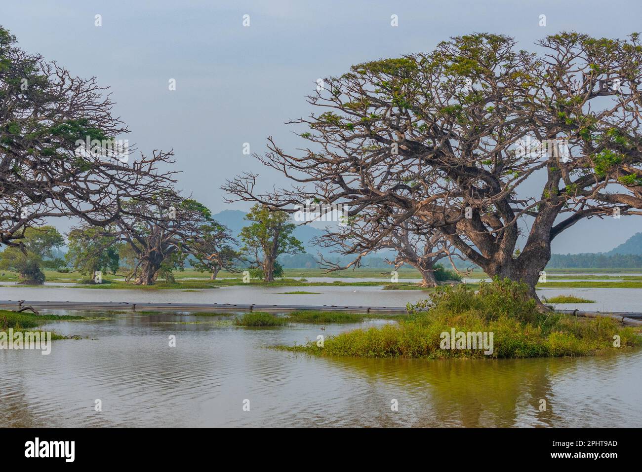 Tissa valley hi-res stock photography and images - Alamy