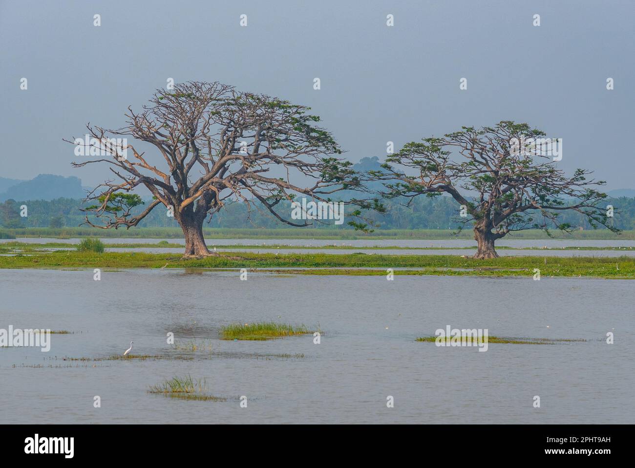 Tissa valley hi-res stock photography and images - Alamy