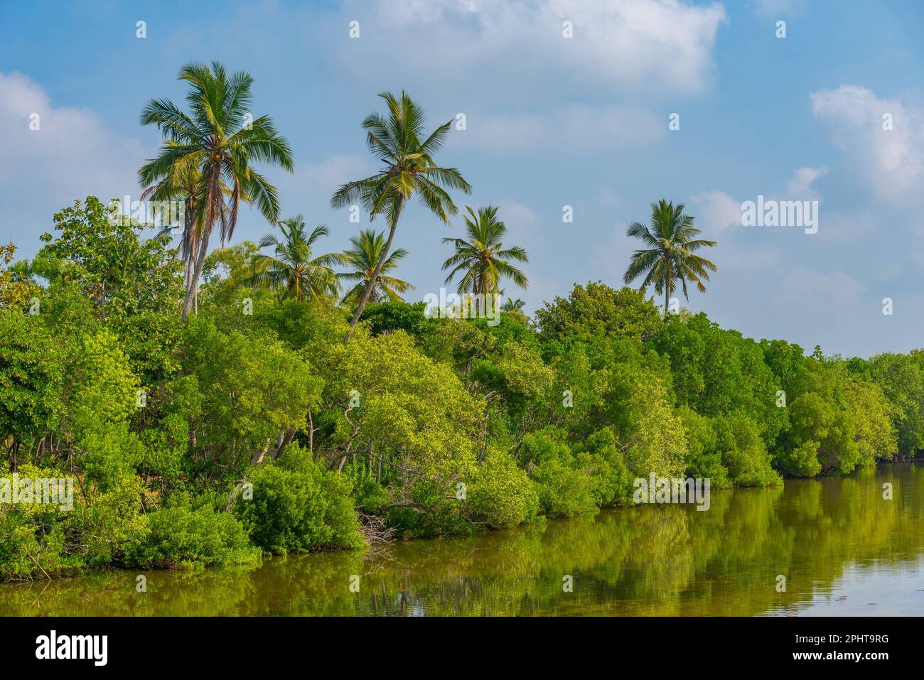 Rekawa lagoon at Sri Lanka Stock Photo - Alamy