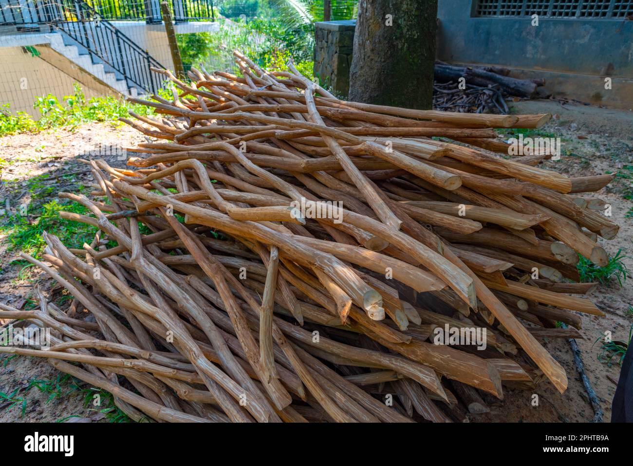 Drying cinnamon, ceylon hi-res stock photography and images - Alamy