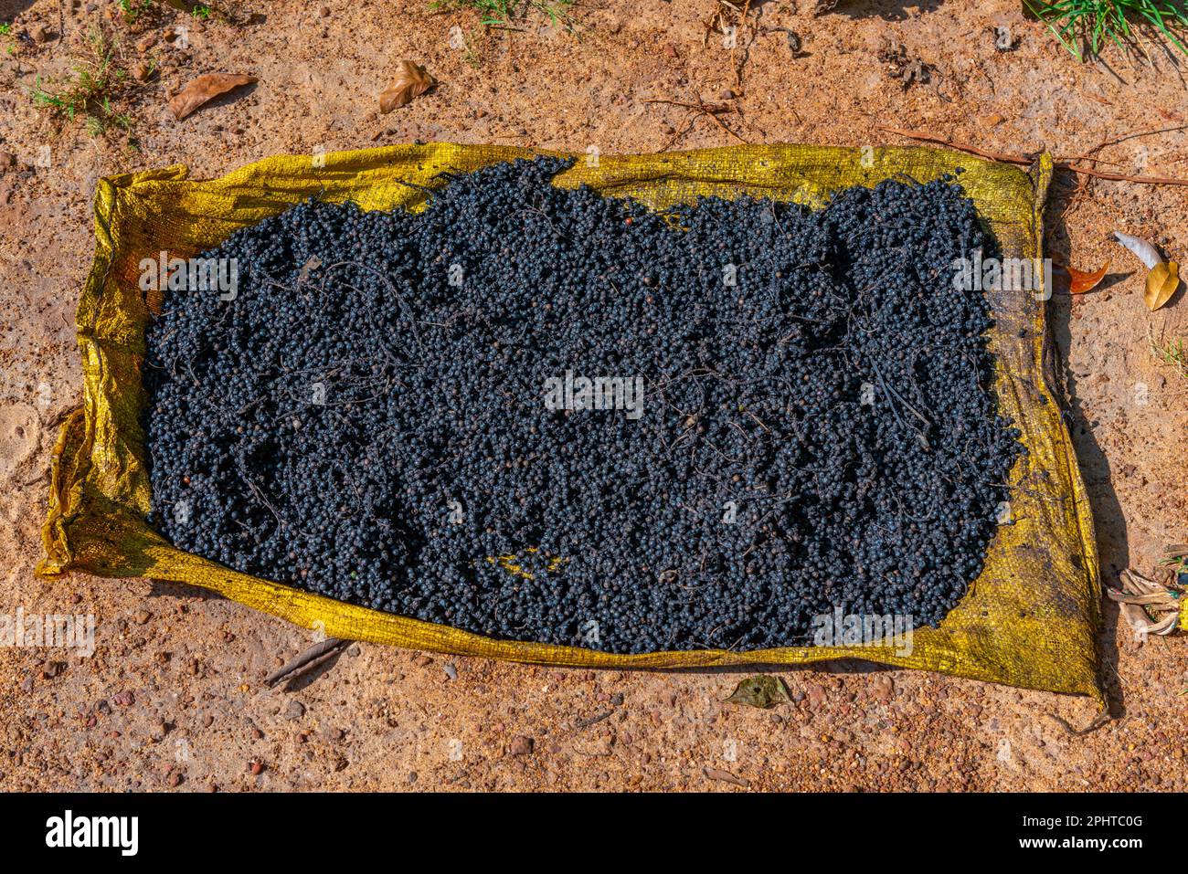 Ground drying process hi-res stock photography and images - Alamy