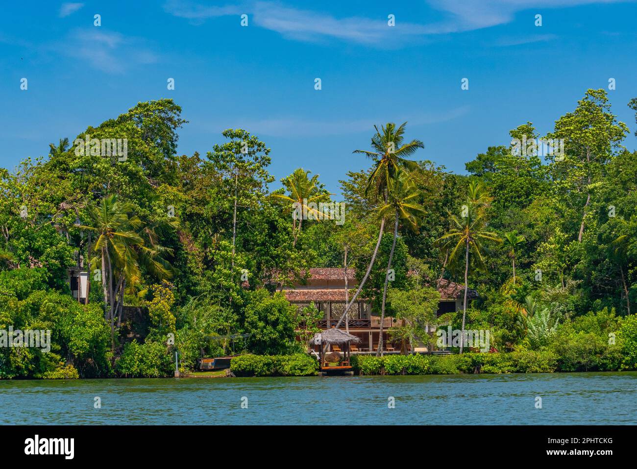 Lush forests surrounding the Koggala lagoon in Sri Lanka Stock Photo ...