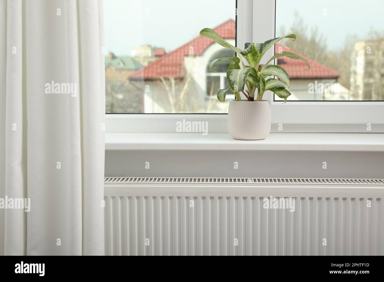 Beautiful houseplant on window sill and modern radiator at home ...