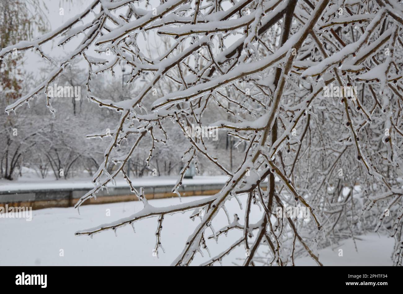 Winter snow scene in China ice city Harbin Stock Photo - Alamy