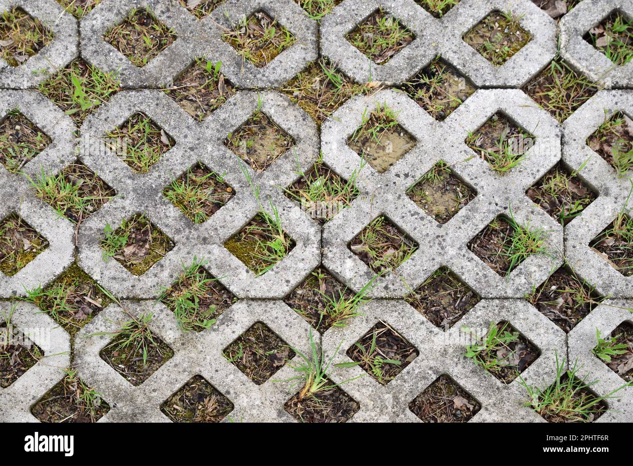 Fresh green grass growing through tiles outdoors, top view Stock Photo ...