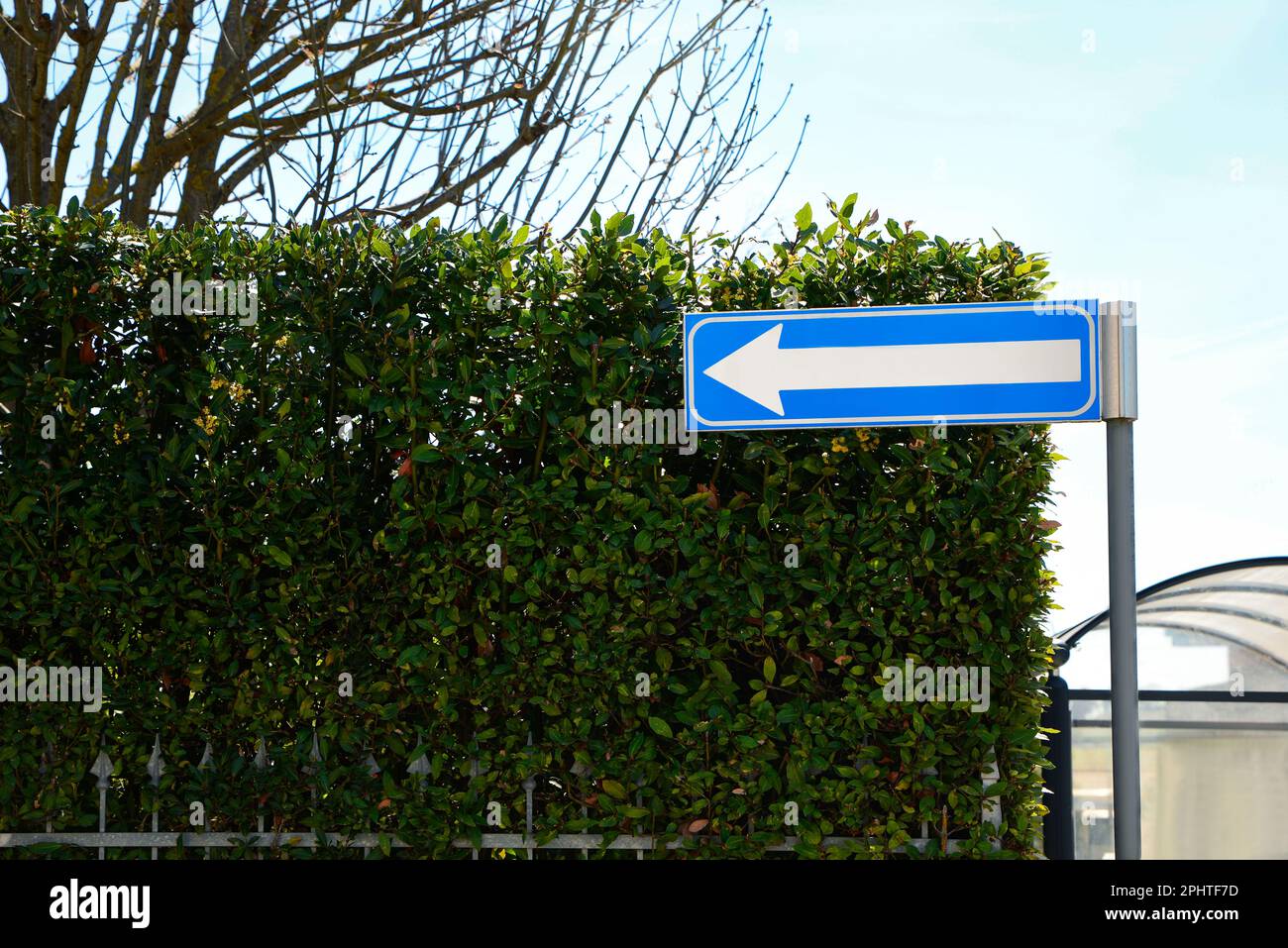 Road sign One Way Traffic and green shrubbery outdoors Stock Photo - Alamy