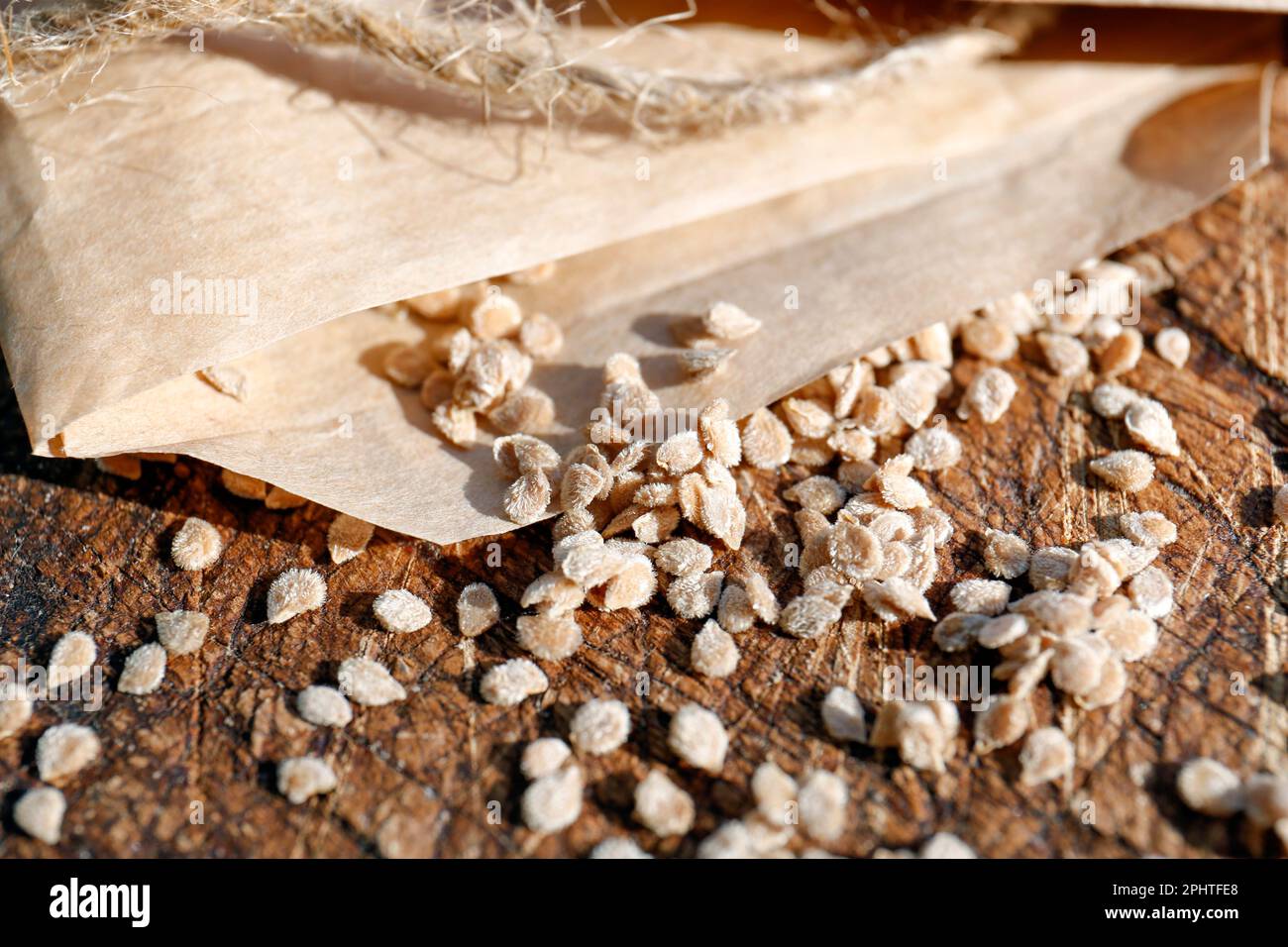 Scattered planting hi-res stock photography and images - Alamy