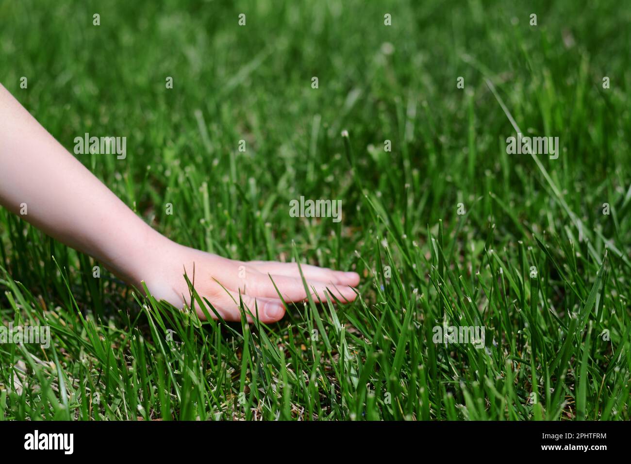 Woman touching fresh grass hi-res stock photography and images - Alamy