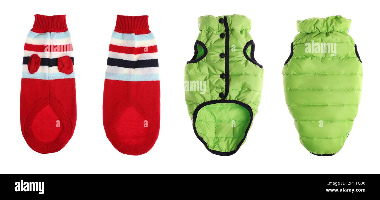 Stylish dog clothes on white background, collage. Banner design Stock ...