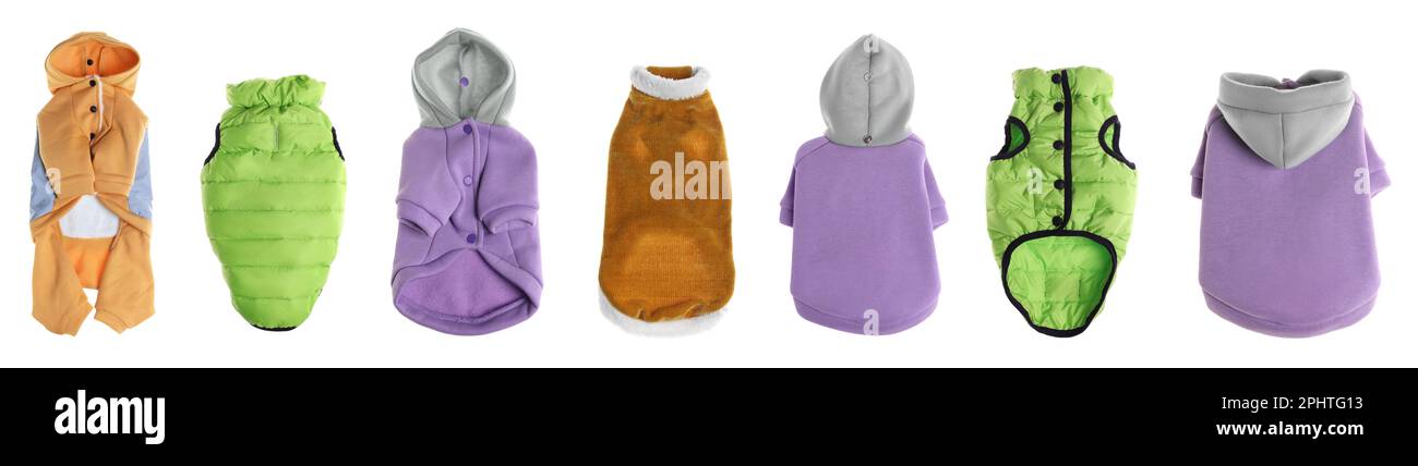 Stylish dog clothes on white background, collage. Banner design Stock ...