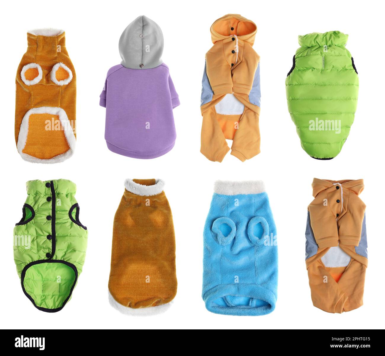 Stylish dog clothes on white background, collage Stock Photo - Alamy