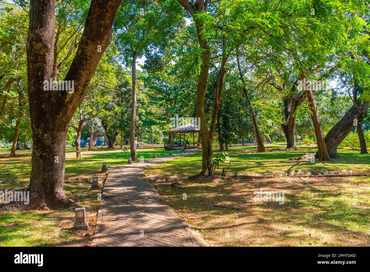 Parque Viharamahadevi, Colombo, Sri Lanka Beauty Of The Viharamahadevi
